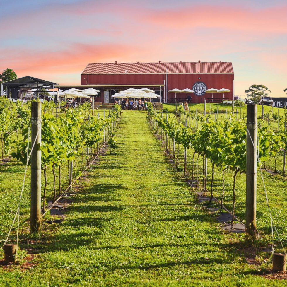 Scenic Rim Producers Spotlight | Spring Creek