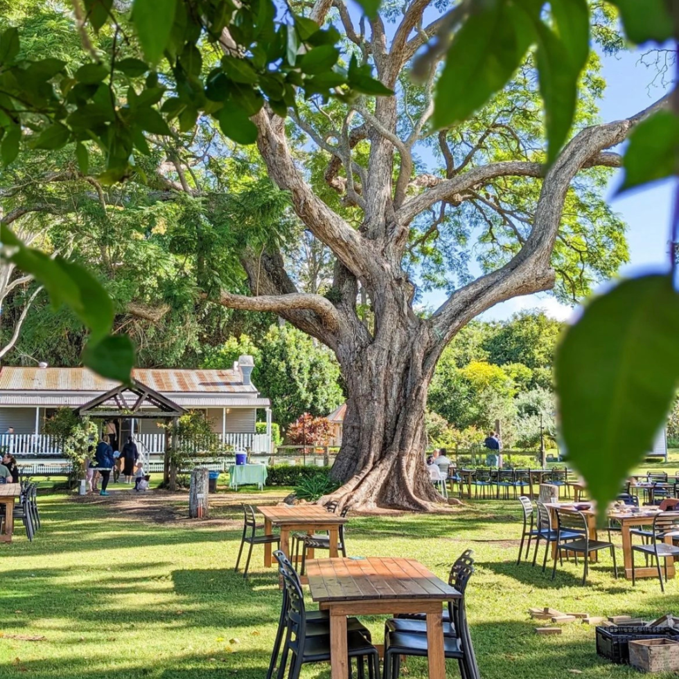 Scenic Rim Producers Spotlight | Spring Creek